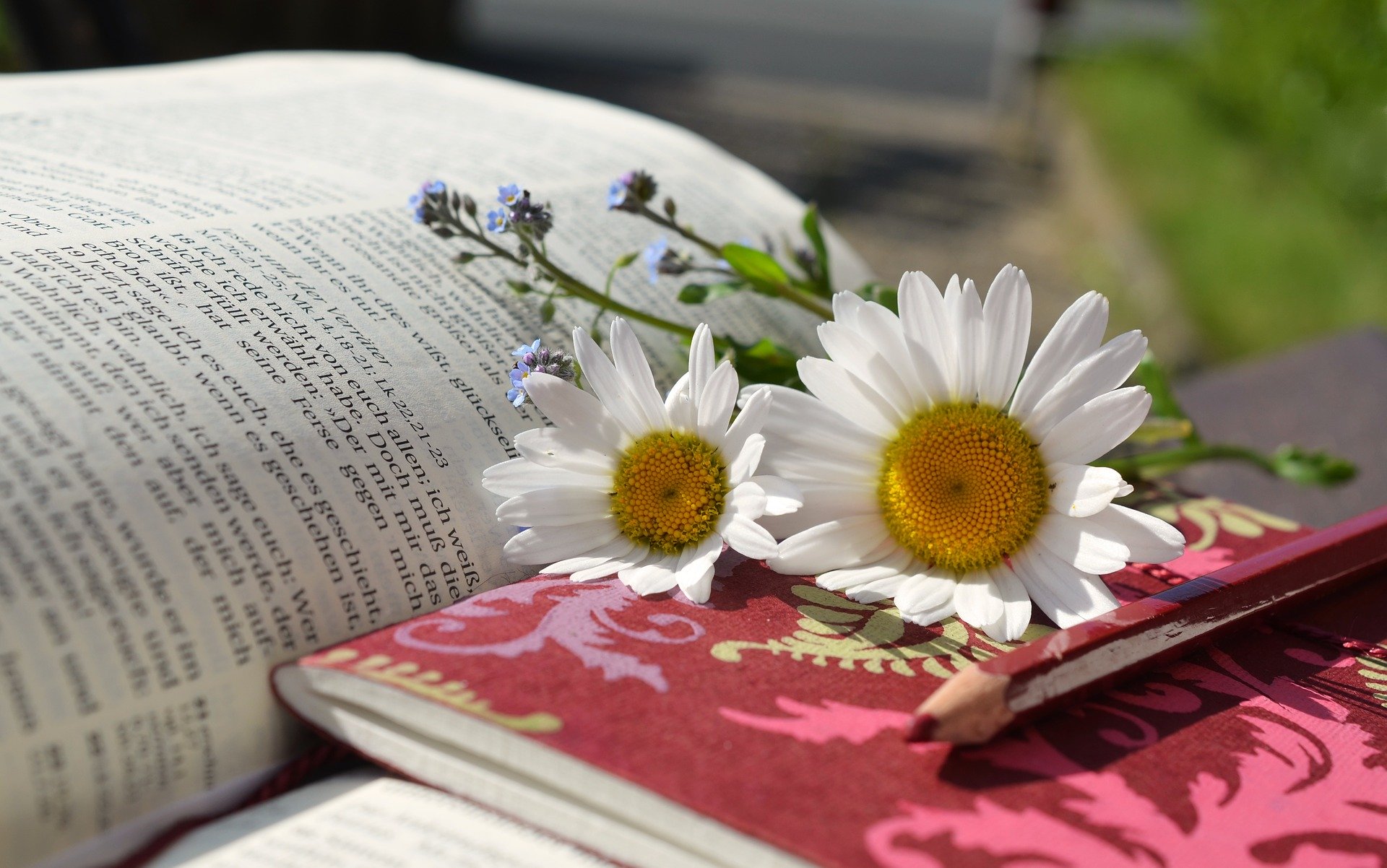 Psalms 40 45 Deep Diving Bible Study Seeking Scripture