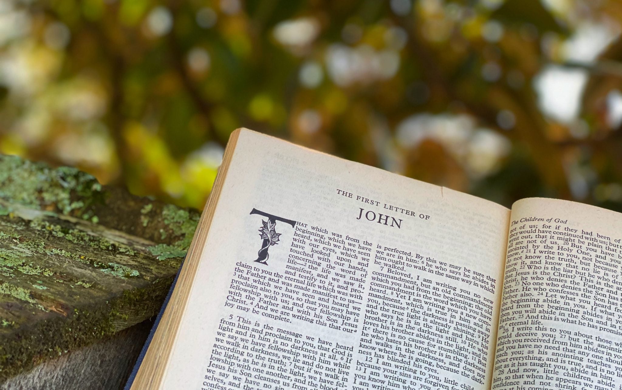 1 John Deep Diving Bible Study Seeking Scripture