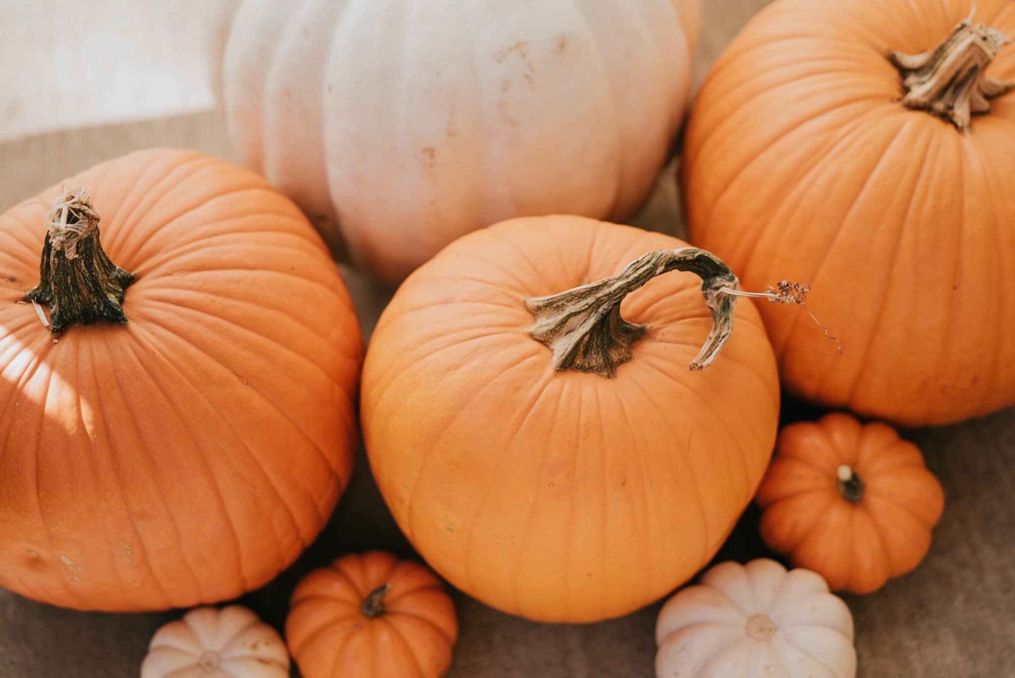 The Fall Feasts Are Coming: An Overview - Seeking Scripture