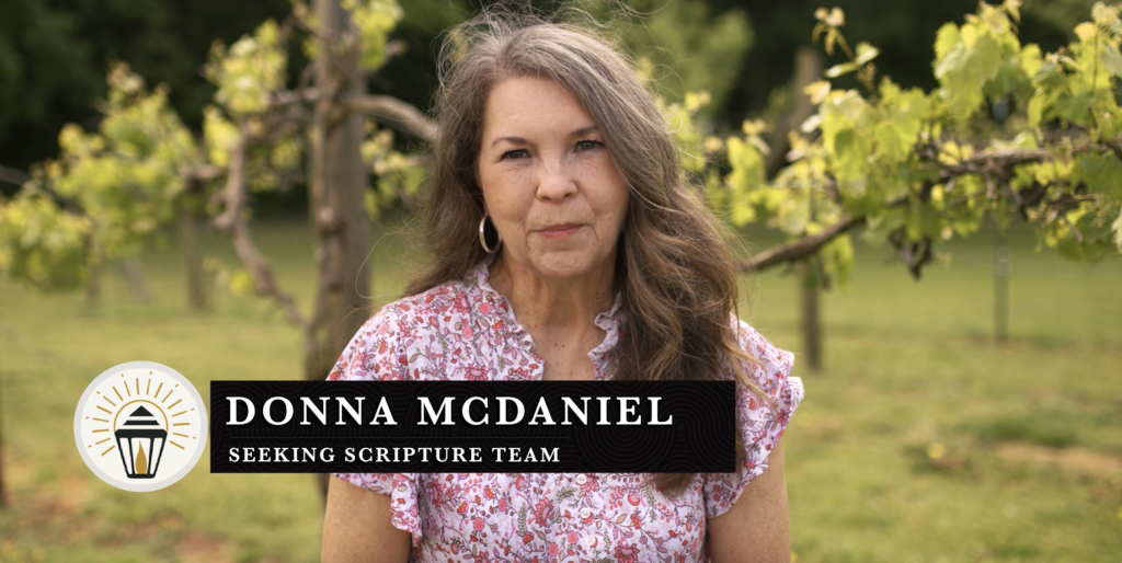 Let Go Of The Reins - Seeking Scripture